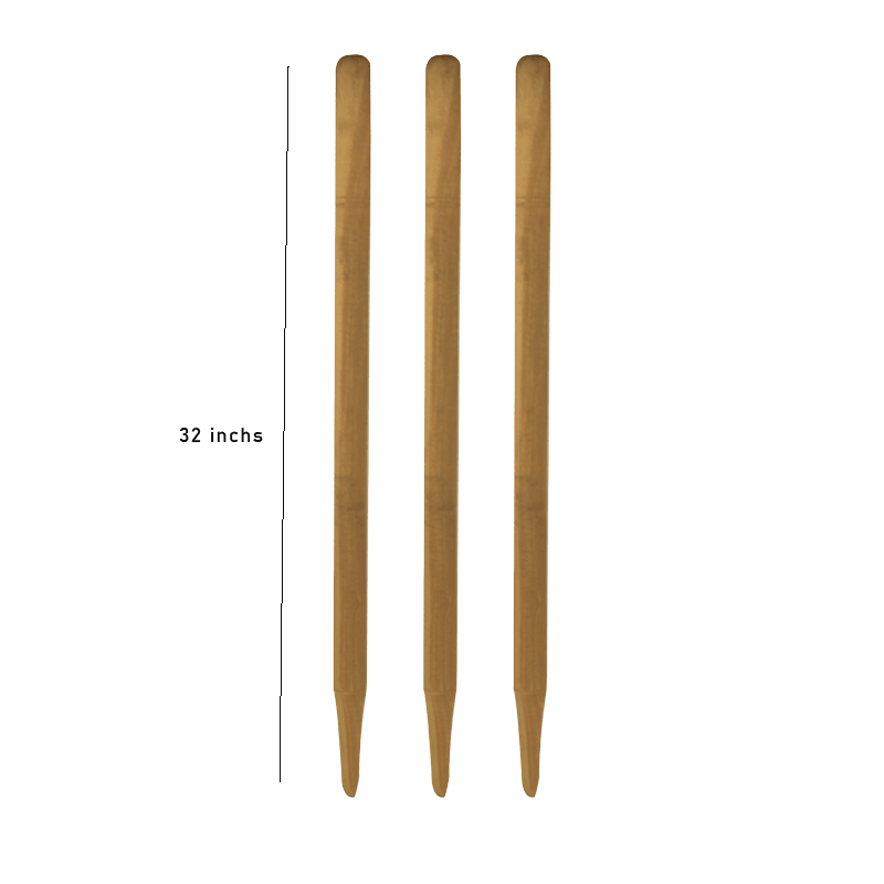 1 Piece Cricket Stump Set